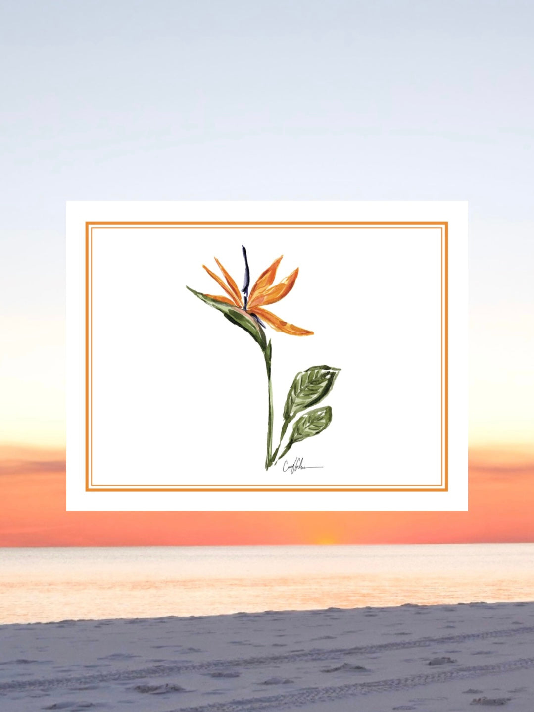 Bird of Paradise – Casey Creates